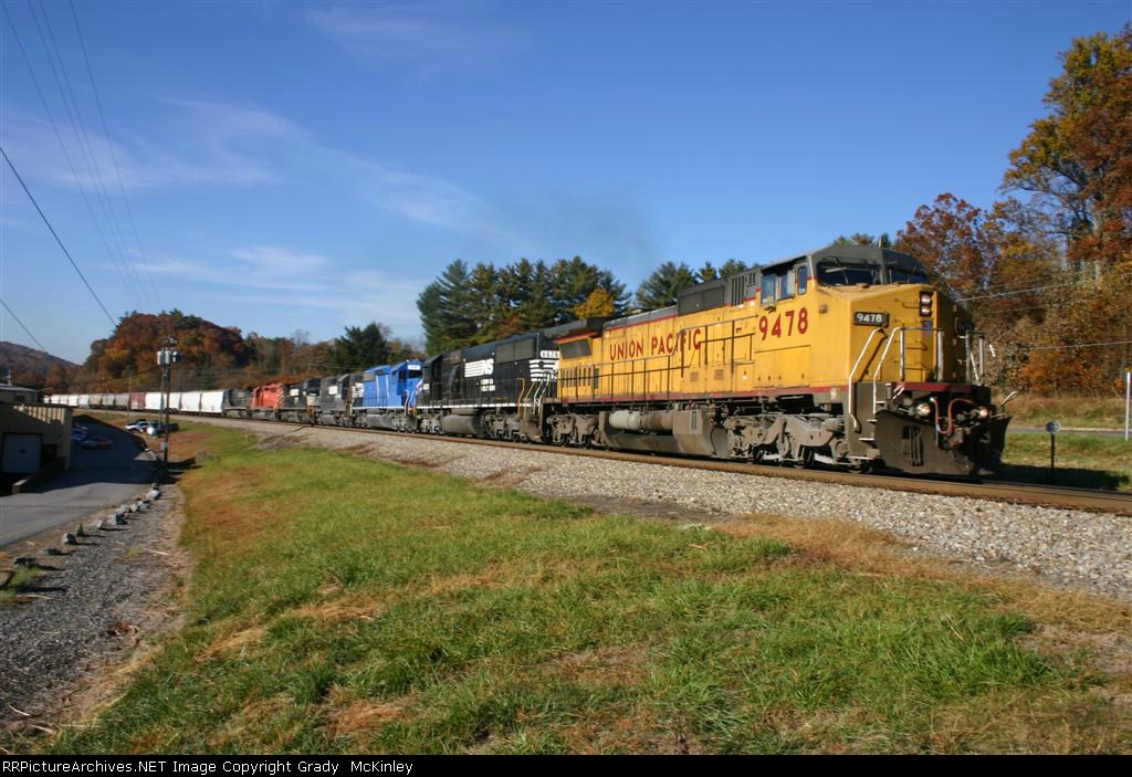 NS 9478 at Swannanoa,NC